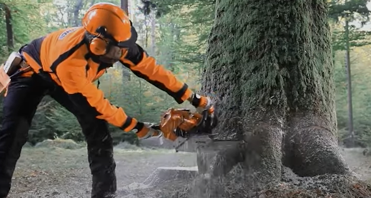 Your Puny Saw is Laughingstock! Unleash the Fury with These 10 BEASTLY ...