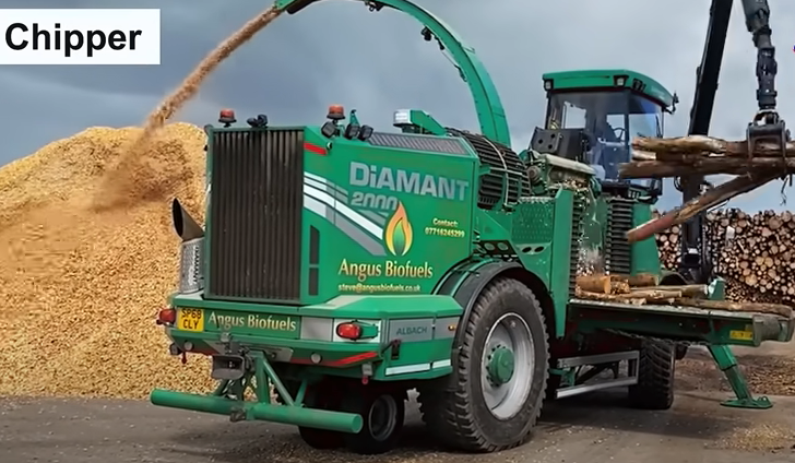 Timberrrr! These Monstrous Wood Munchers Will Blow Your Mind (and Logs ...