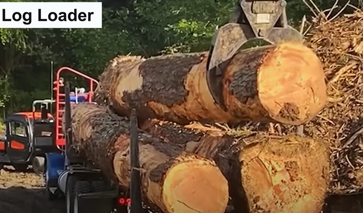 Timberrrr! These Monstrous Wood Munchers Will Blow Your Mind (and Logs ...