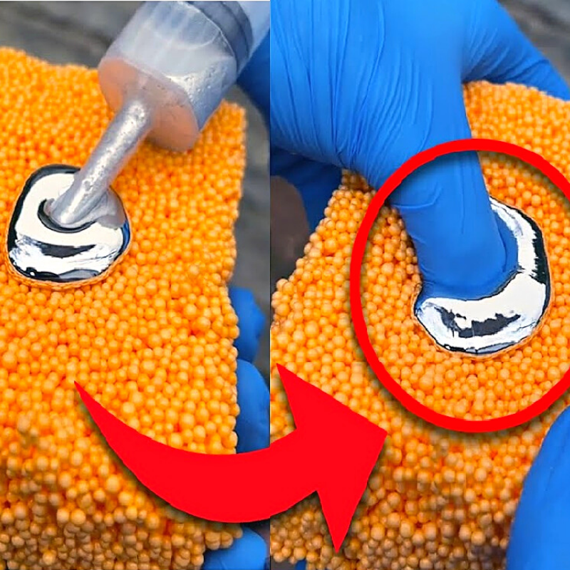 From Viral Sensation to Masters of Their Craft: Meet the Internet's ...