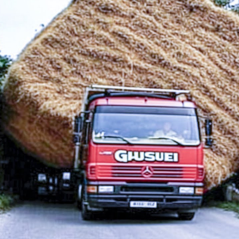 The Delicate Dance of Tons: A Respectful Look at Heavy Equipment ...