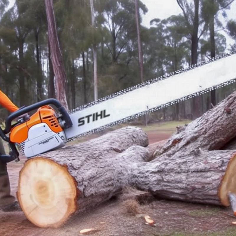 Your Puny Saw is Laughingstock! Unleash the Fury with These 10 BEASTLY ...